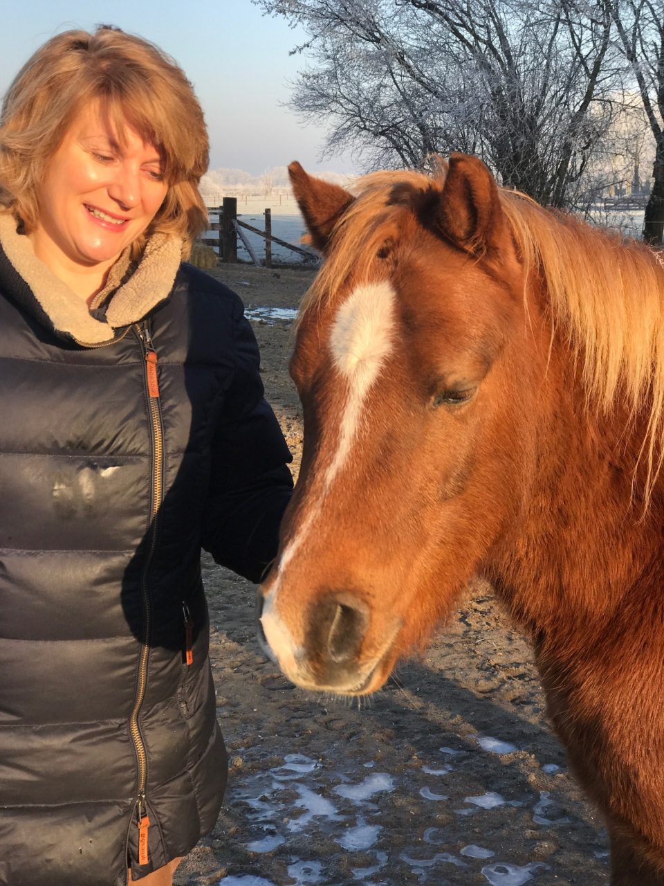 Astrid de Groot, Glass Handling Tools for glaziers, since 1961!
